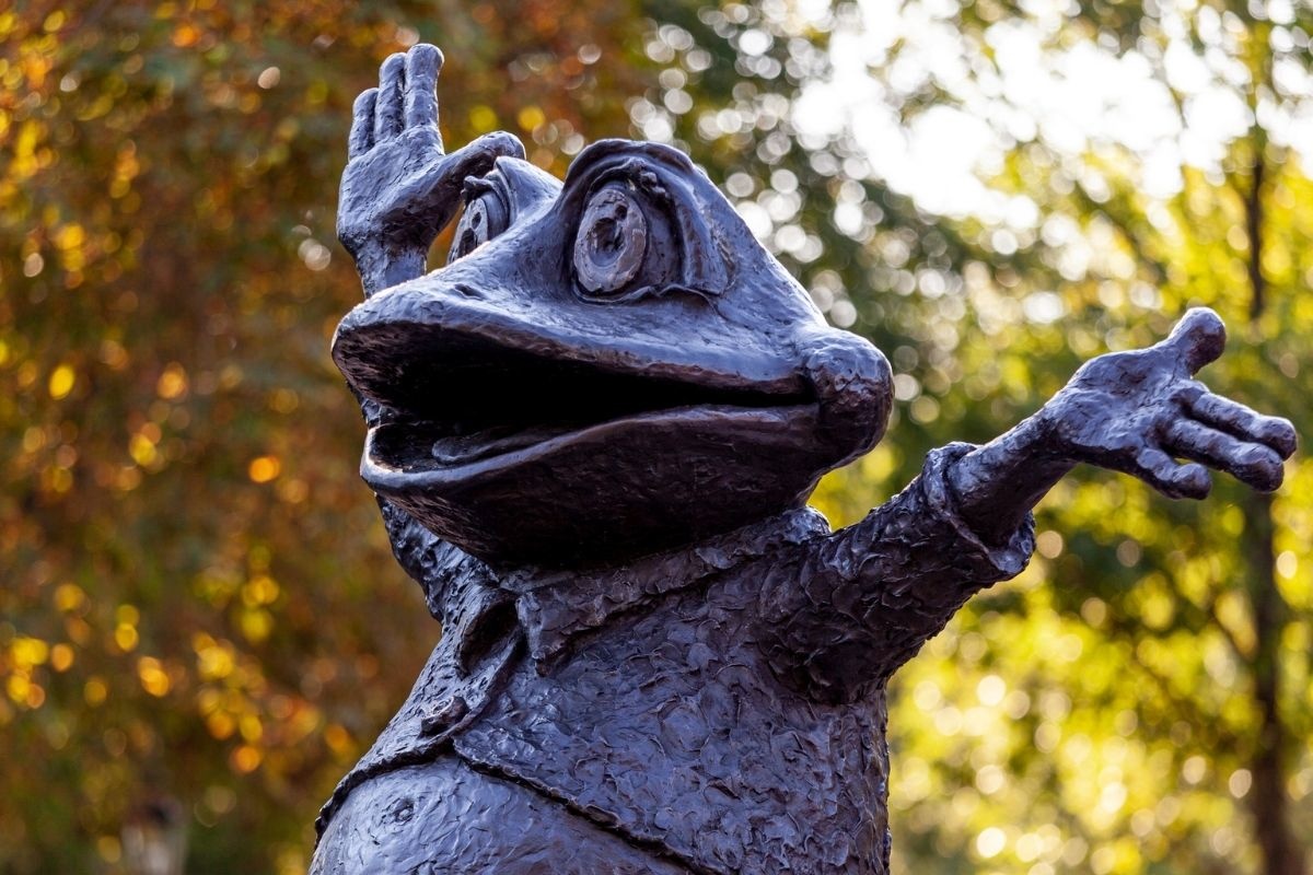 Die Geschichte von Rick dem Frosch - Blog - Duinrell.de