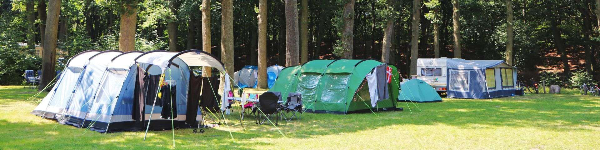 Camping in Holland mit Hund | Freizeitpark Duinrell
